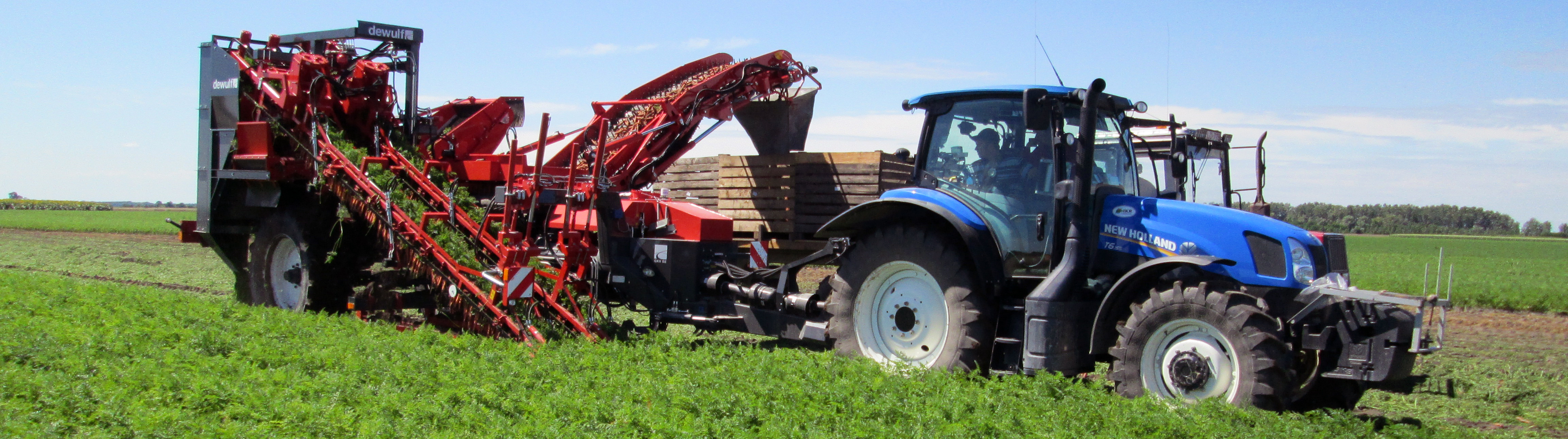Trailed 2-row top lifting harvester with hedgehog unit and discharge ...